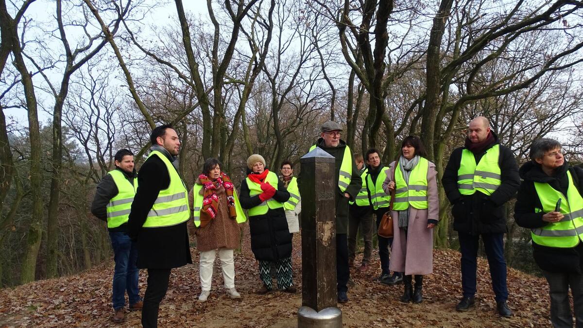 Gemeente laat bomen op Konijnenberg kappen en snoeien | GVA